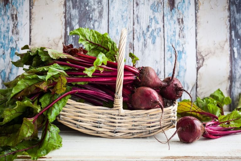 Rode bieten met ui, recept - Gera Raakt